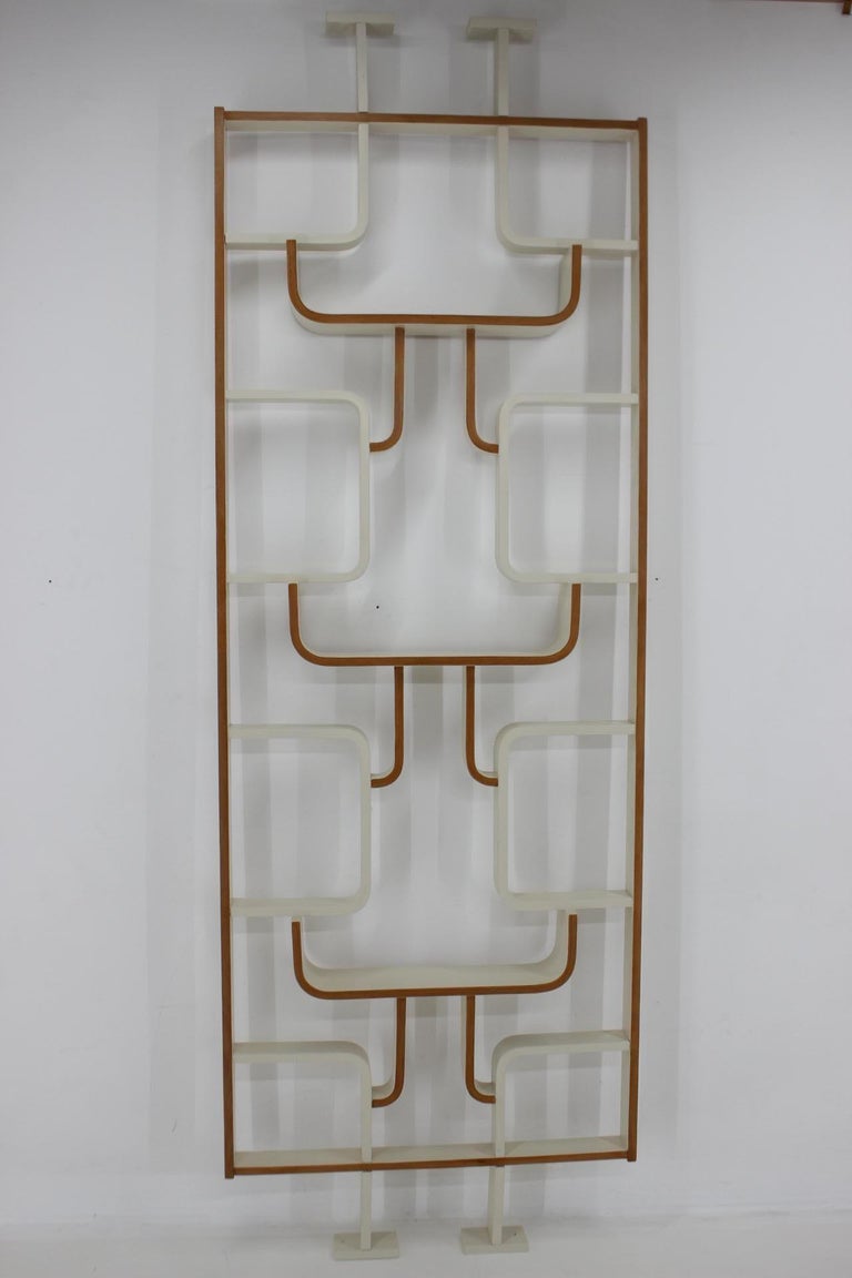 1970s Ludvik Volak Room Divider by Dřevopodnik Holešov, Czechoslovakia ...