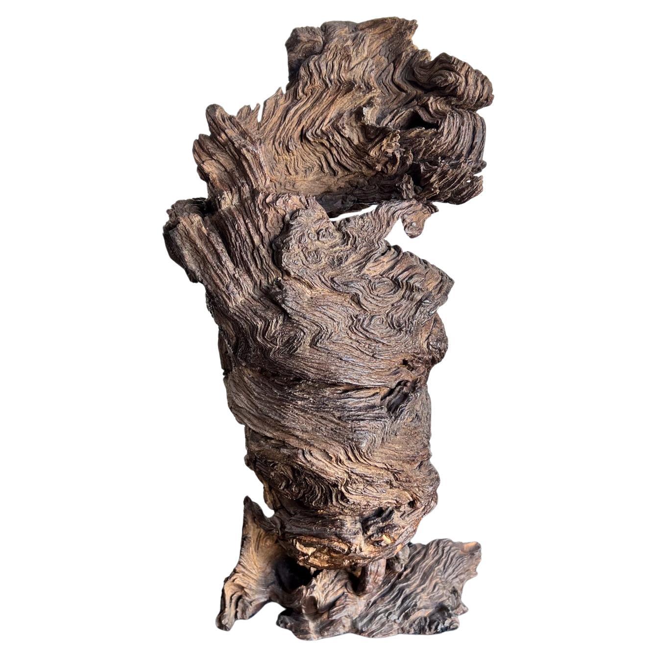 1970s Modern Art Wood Root Sculpture Organic Form For Sale at 1stDibs
