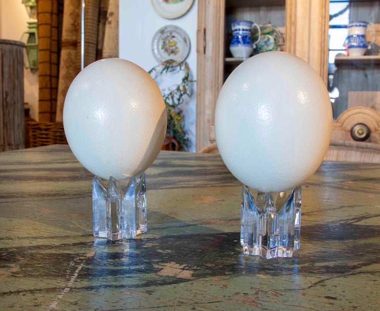 1970s Pair of Ostrich Eggs on Glass Stands For Sale at 1stDibs