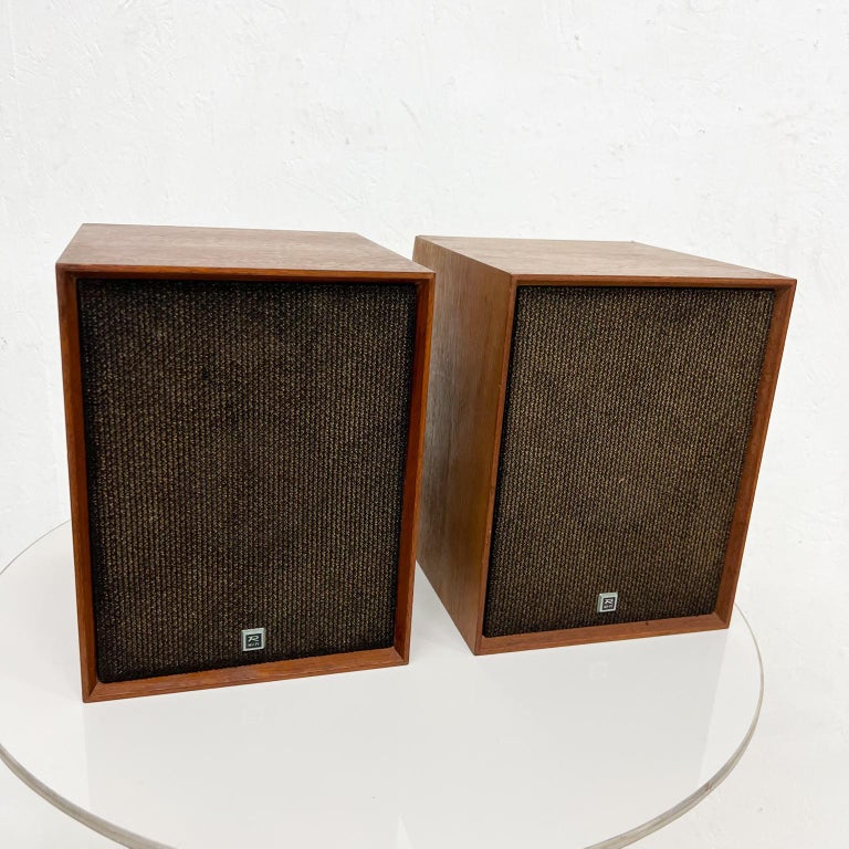 Vintage Realistic Speakers