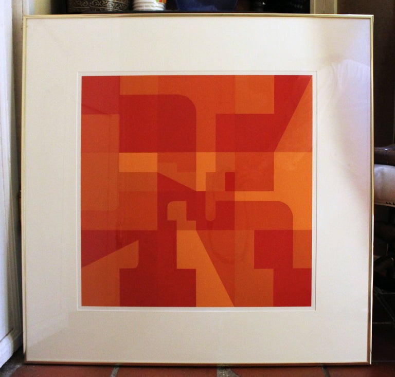 1970s Screen Print "C-Di1a" by Norman Ives For Sale at 1stDibs