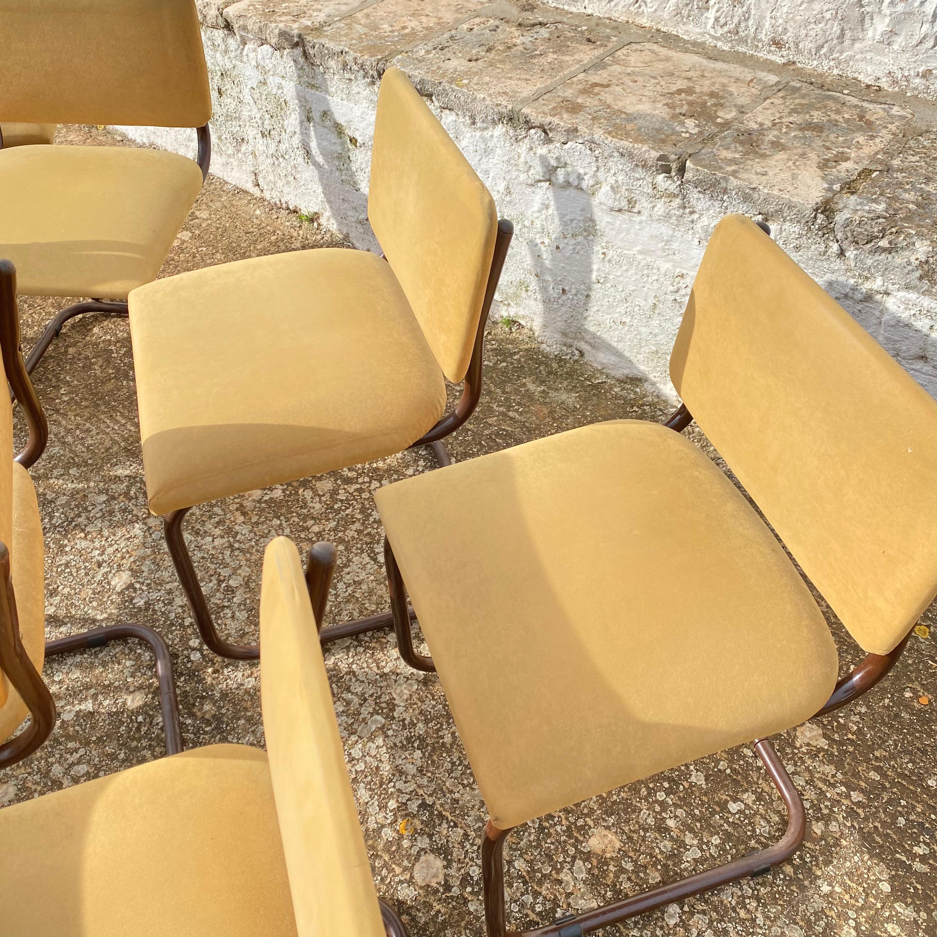 1970s Set of 13 "Cesca" Style Chairs in Suede For Sale at 1stDibs
