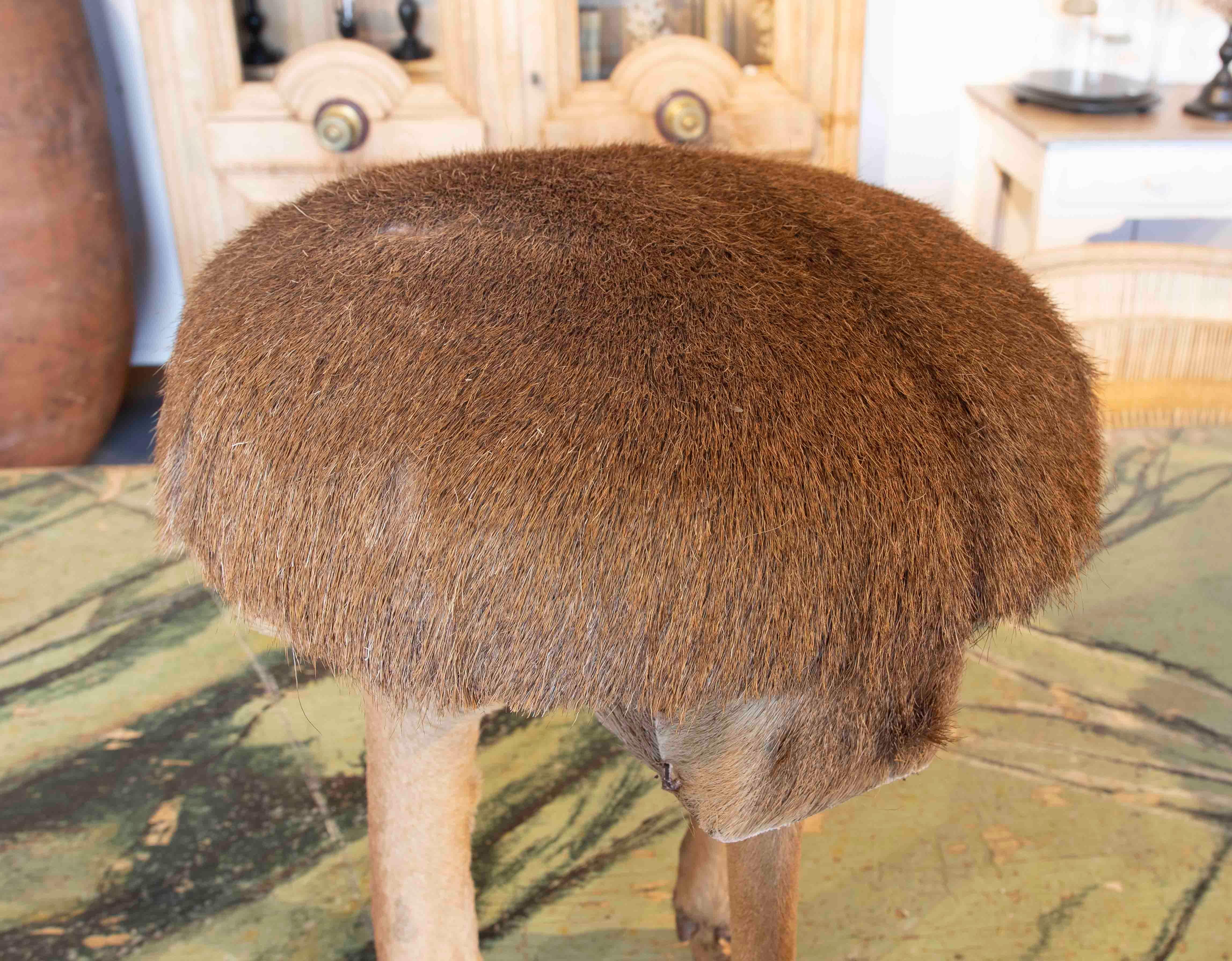 1970s Spanish Leather Stool with Fallow Deer Legs For Sale at 1stDibs