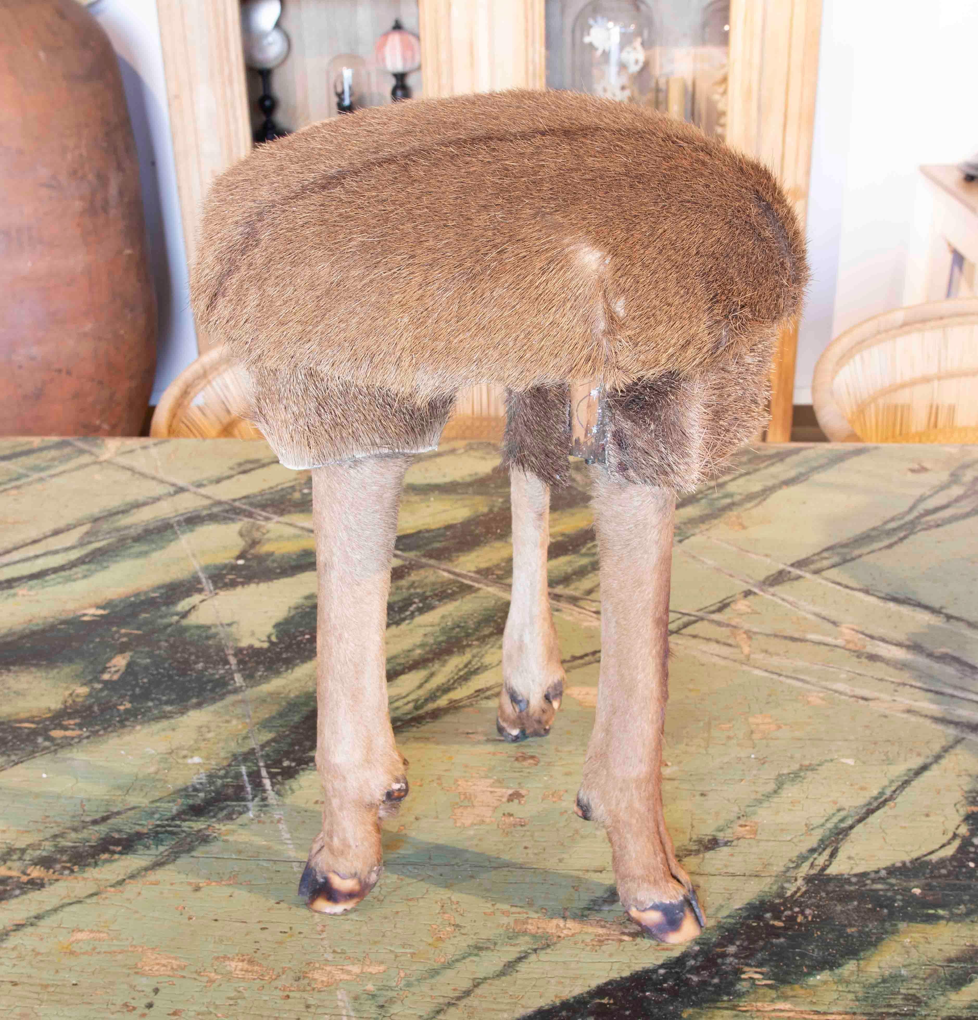 1970s Spanish Leather Stool with Fallow Deer Legs For Sale at 1stDibs