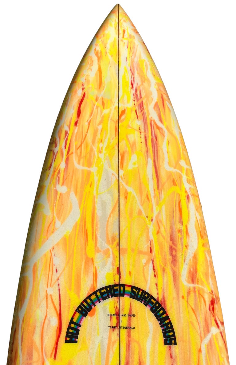 1970s Vintage Hot Buttered Wave Mural Surfboard by Terry Fitzgerald at ...