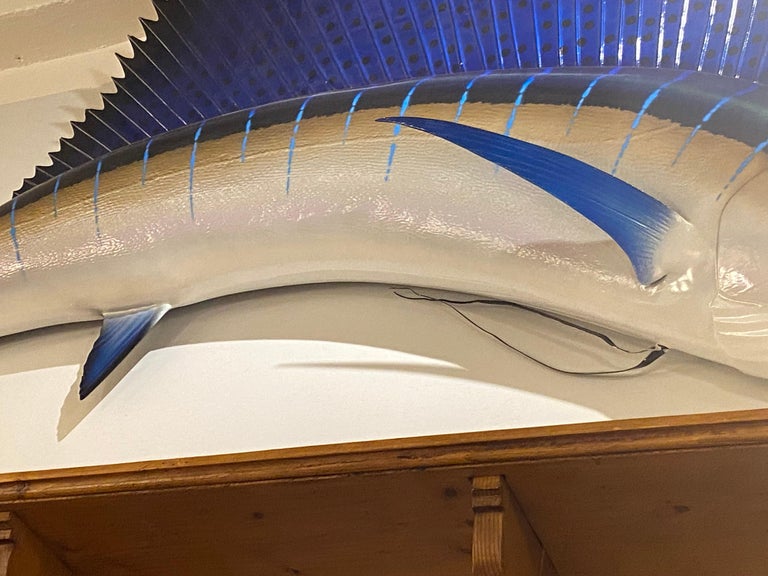 1990s Sailfish Taxidermy Life-Size Fiberglass Replica For Sale at 1stDibs