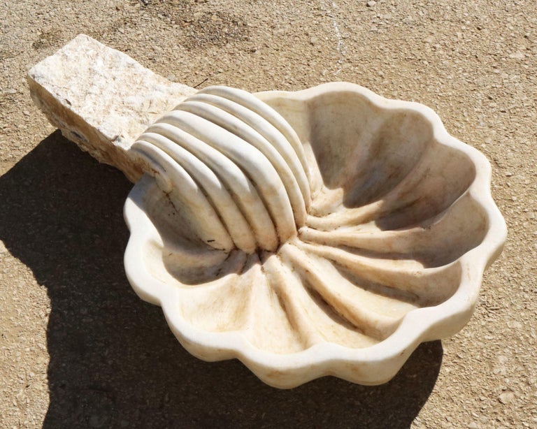 1990s Spanish Hand Carved Aged White Marble Seashell at 1stDibs