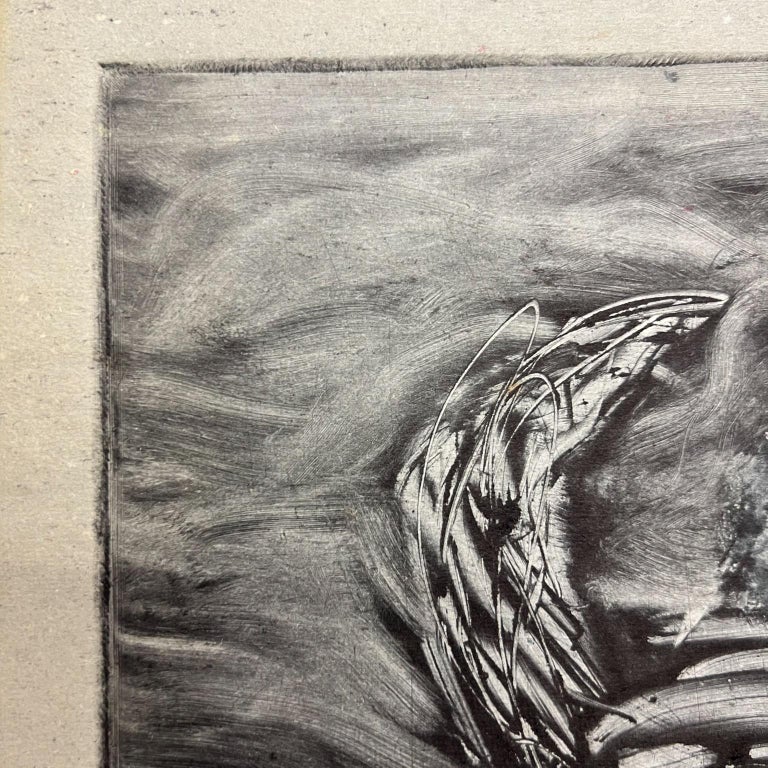 1998 Art by Gina Kail Monoprint Buffalo Metamorphosis 1:6 For Sale at ...