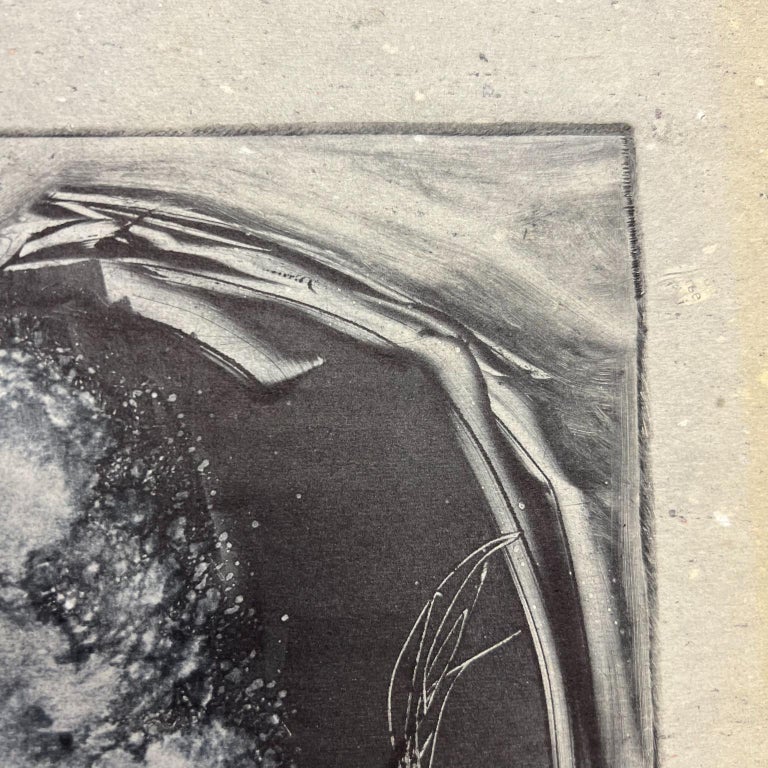 1998 Art by Gina Kail Monoprint Buffalo Metamorphosis 1:6 For Sale at ...