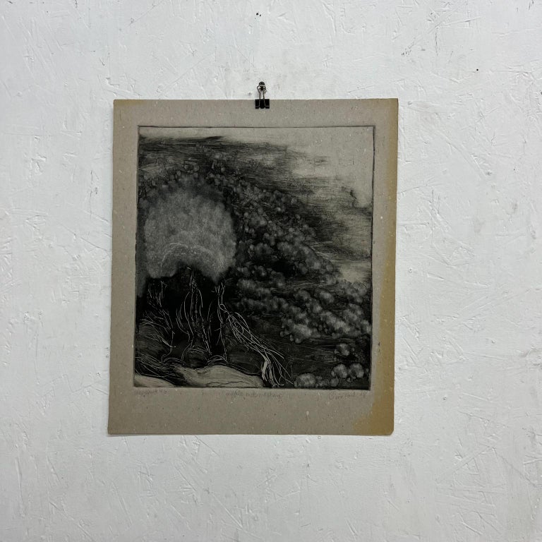 1998 Art by Gina Kail Monoprint Buffalo Metamorphosis 4:6 For Sale at ...