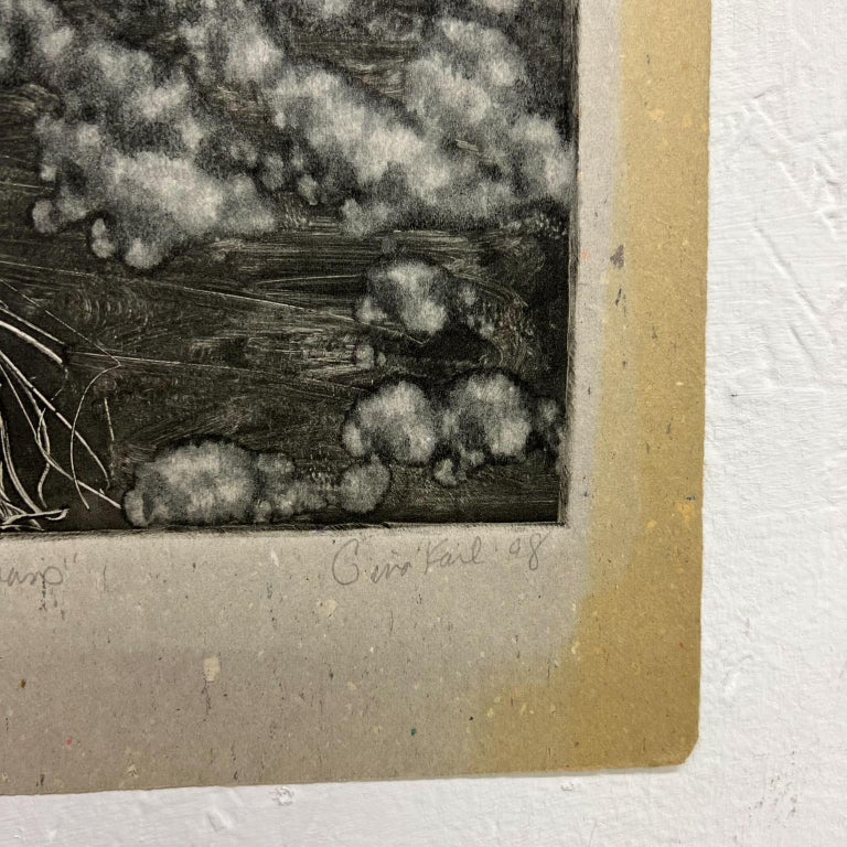 1998 Art by Gina Kail Monoprint Buffalo Metamorphosis 4:6 For Sale at ...