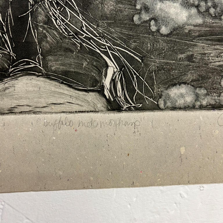 1998 Art by Gina Kail Monoprint Buffalo Metamorphosis 4:6 For Sale at ...