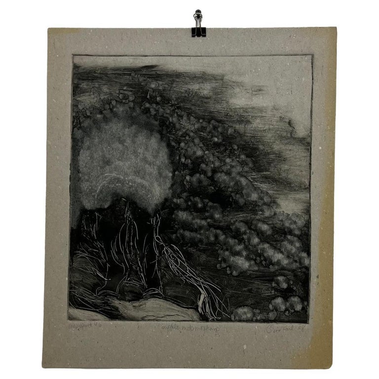 1998 Art by Gina Kail Monoprint Buffalo Metamorphosis 4:6 For Sale at ...