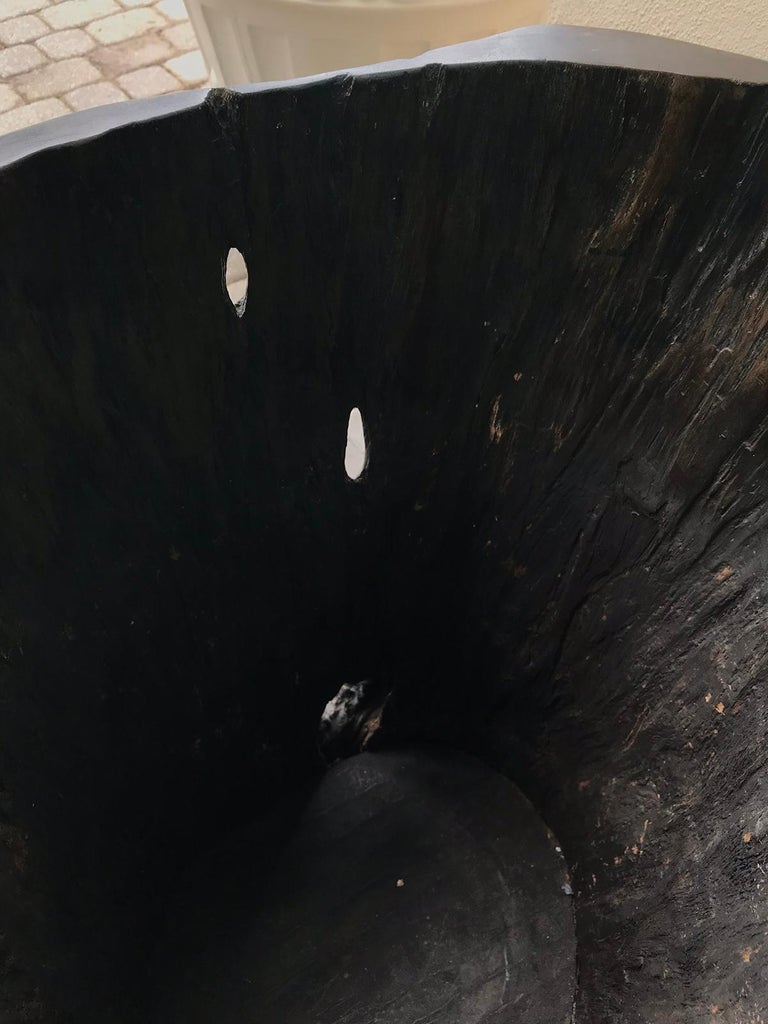 19th-20th Century Tree Trunk, Probably Chinese Zitan Wood at 1stDibs