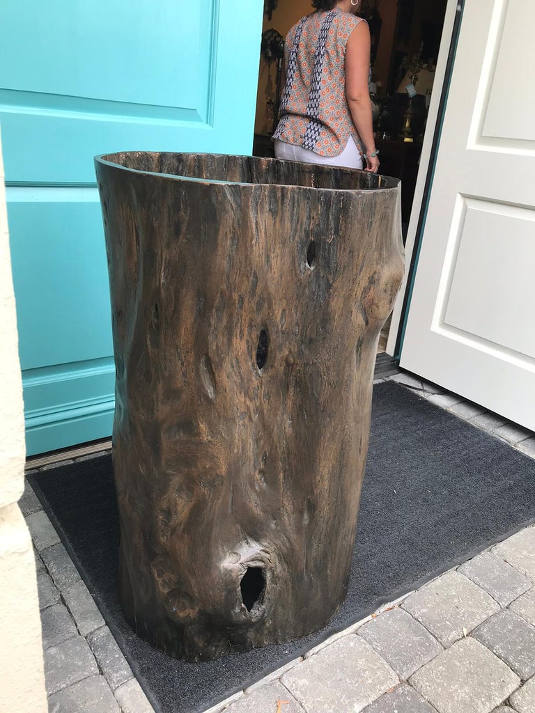 19th-20th Century Tree Trunk, Probably Chinese Zitan Wood at 1stDibs