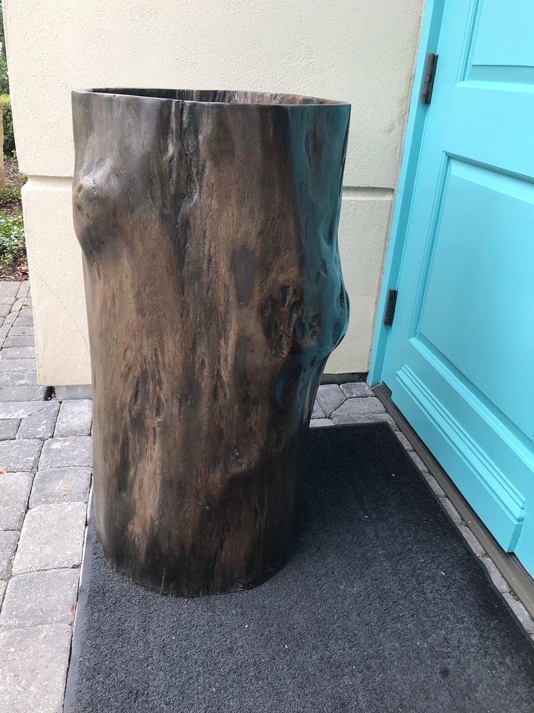 19th-20th Century Tree Trunk, Probably Chinese Zitan Wood at 1stDibs