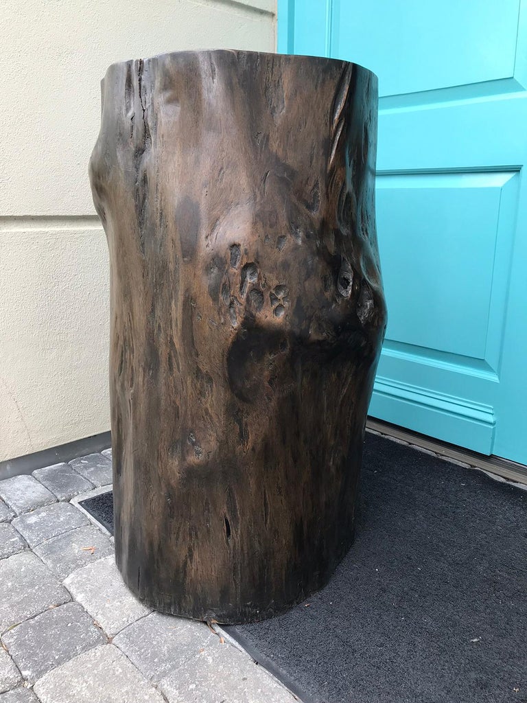 19th-20th Century Tree Trunk, Probably Chinese Zitan Wood at 1stDibs
