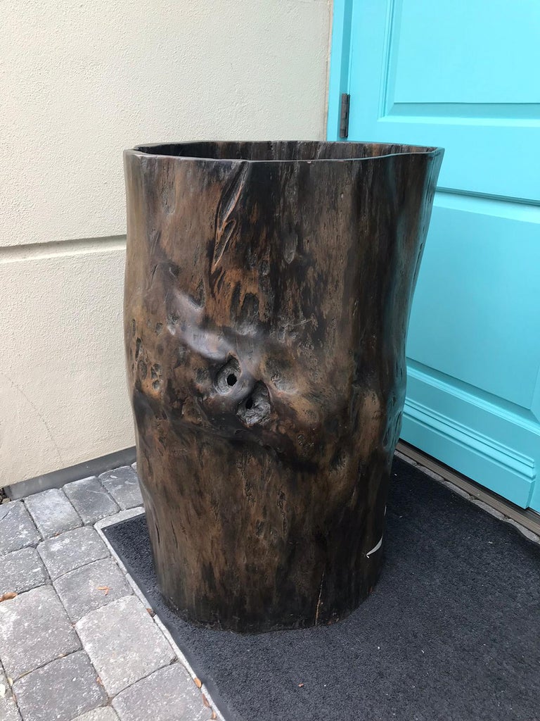 19th-20th Century Tree Trunk, Probably Chinese Zitan Wood at 1stDibs