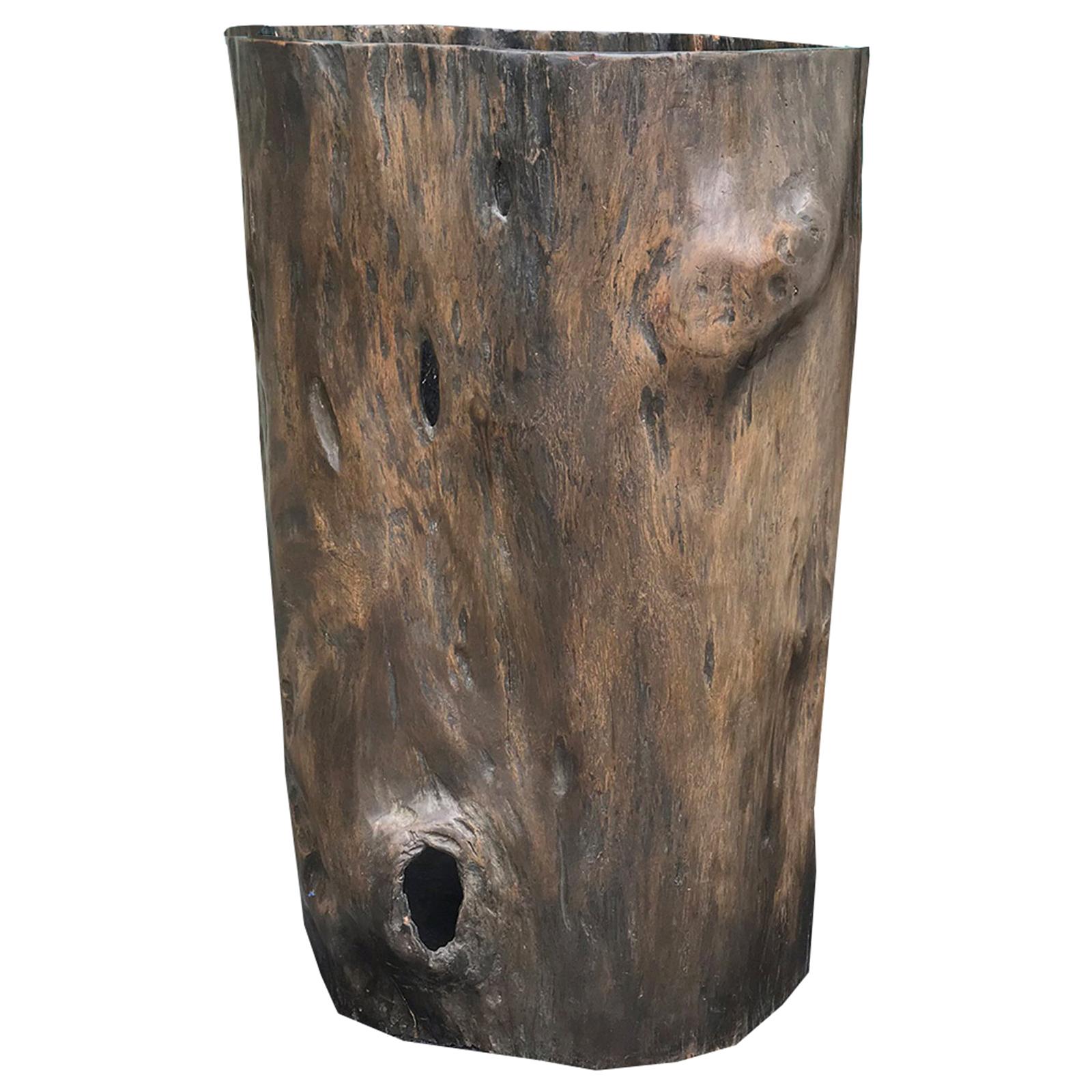 19th-20th Century Tree Trunk, Probably Chinese Zitan Wood at 1stDibs