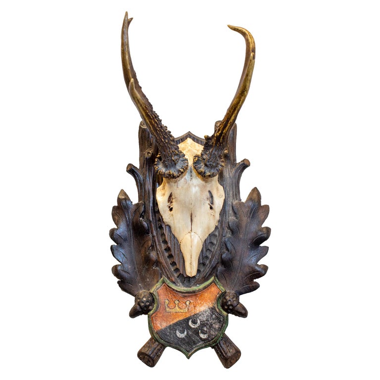 19th C Austrian Roe Deer Trophies on Original Black Forest Plaques with ...