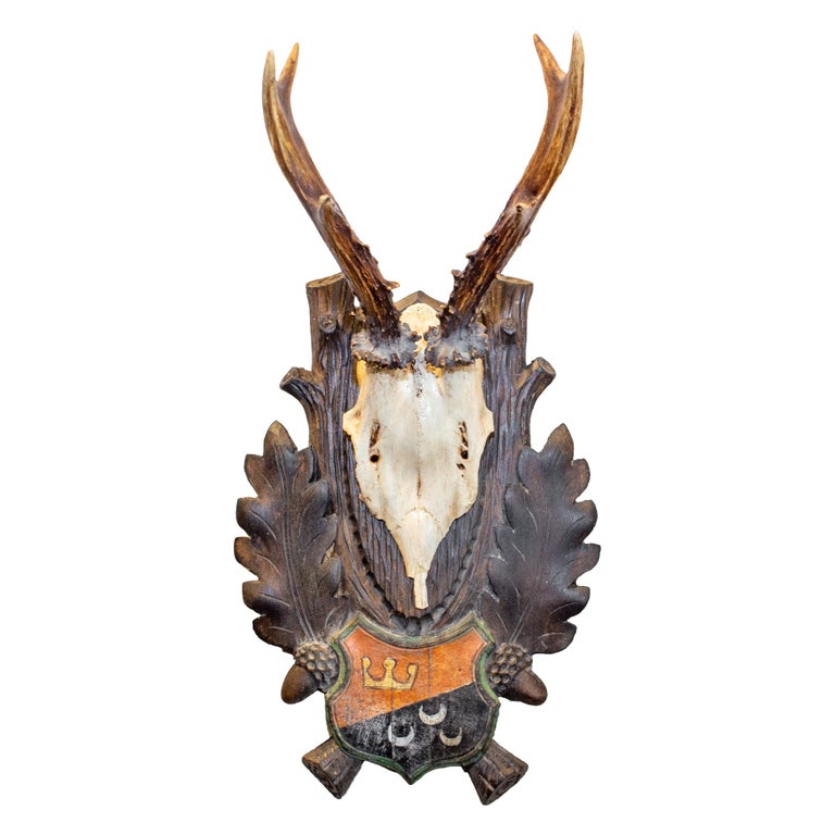 19th C Austrian Roe Deer Trophies on Original Black Forest Plaques with ...