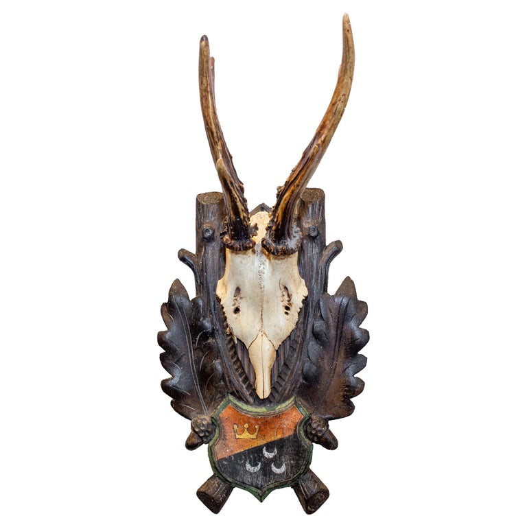 19th C Austrian Roe Deer Trophies on Original Black Forest Plaques with ...