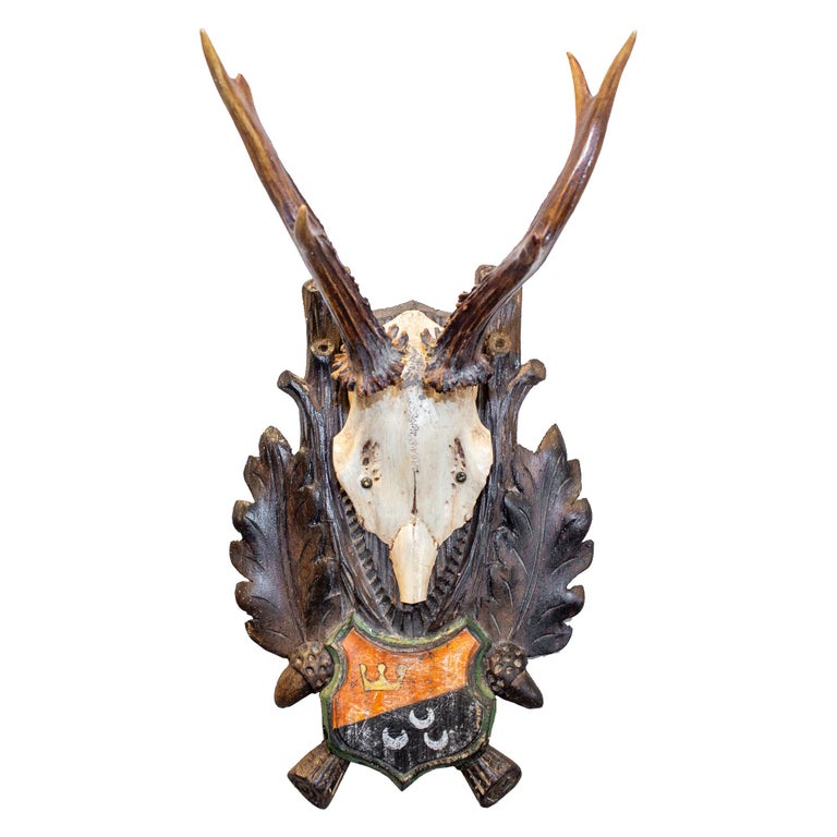 19th C Austrian Roe Deer Trophies on Original Black Forest Plaques with ...