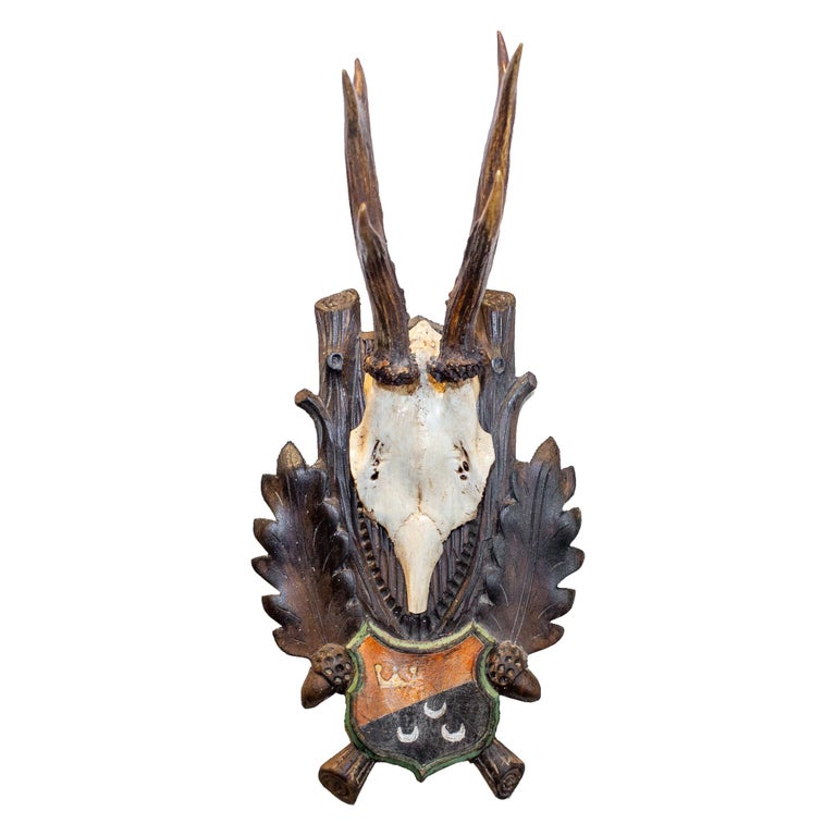 19th C Austrian Roe Deer Trophies on Original Black Forest Plaques with ...