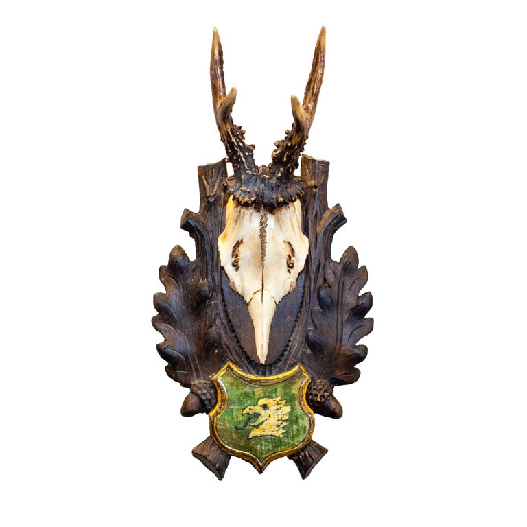 19th C Austrian Roe Deer Trophies on Original Black Forest Plaques with ...