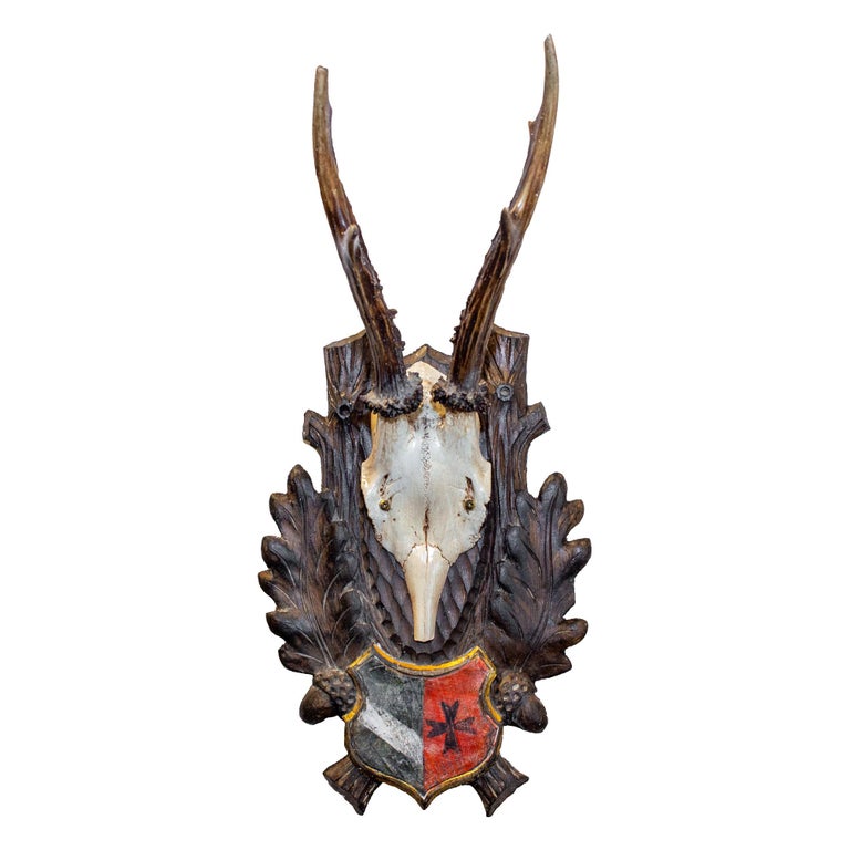 19th C Austrian Roe Deer Trophies on Original Black Forest Plaques with ...