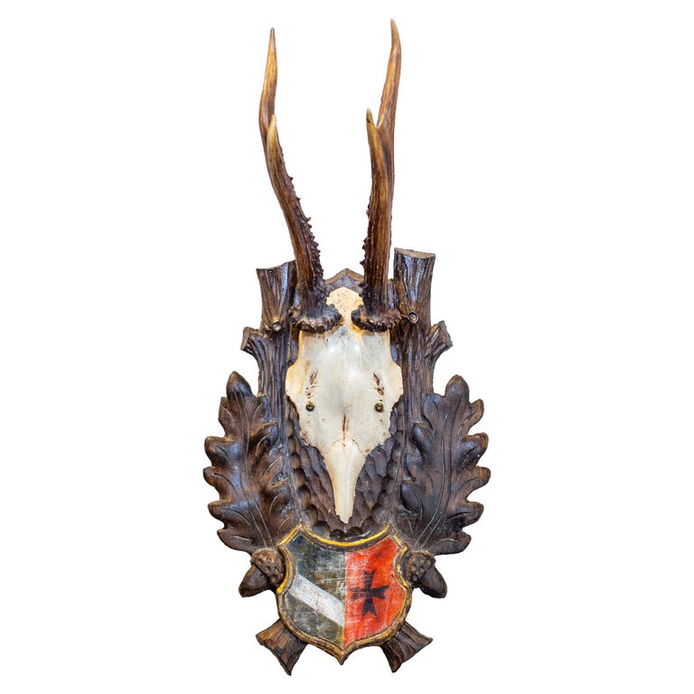 19th C Austrian Roe Deer Trophies on Original Black Forest Plaques with ...