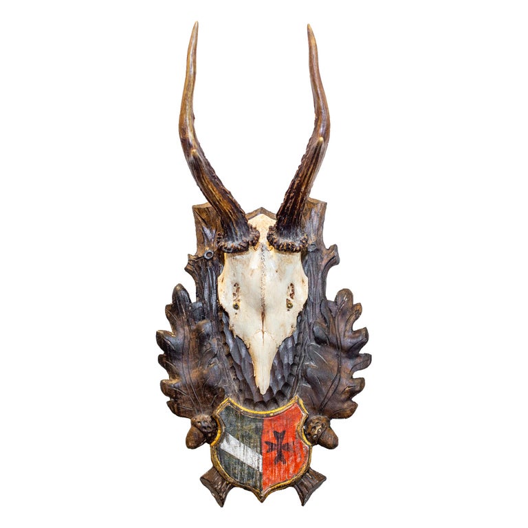 19th C Austrian Roe Deer Trophies on Original Black Forest Plaques with ...