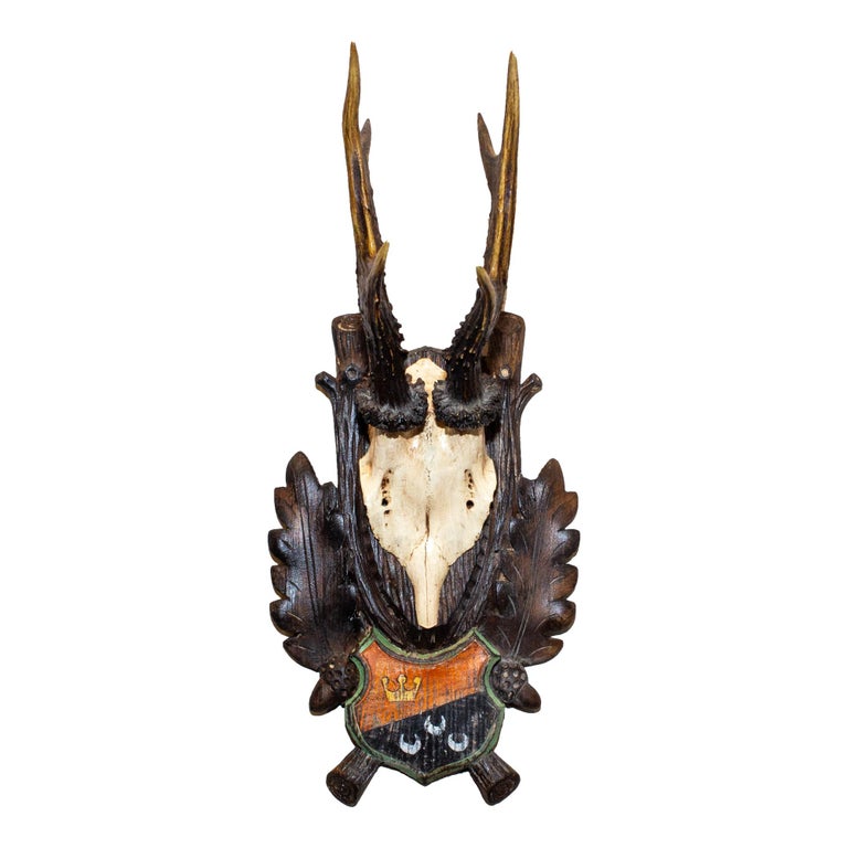 19th C Austrian Roe Deer Trophies on Original Black Forest Plaques with ...