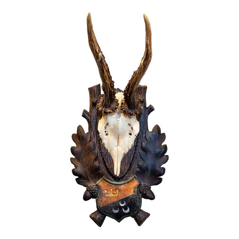 19th C Austrian Roe Deer Trophies on Original Black Forest Plaques with ...