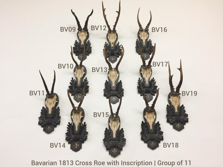 19th Century Bavarian Roe Deer Trophies on Black Forest Plaques with ...