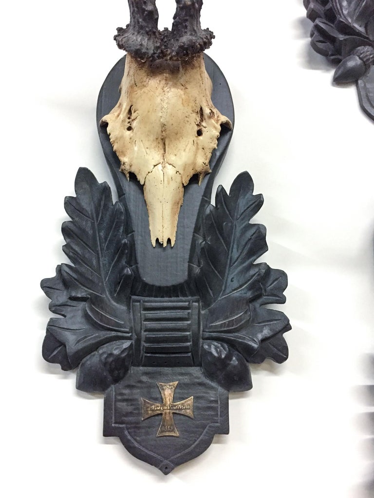 19th Century Bavarian Roe Deer Trophies on Black Forest Plaques with ...