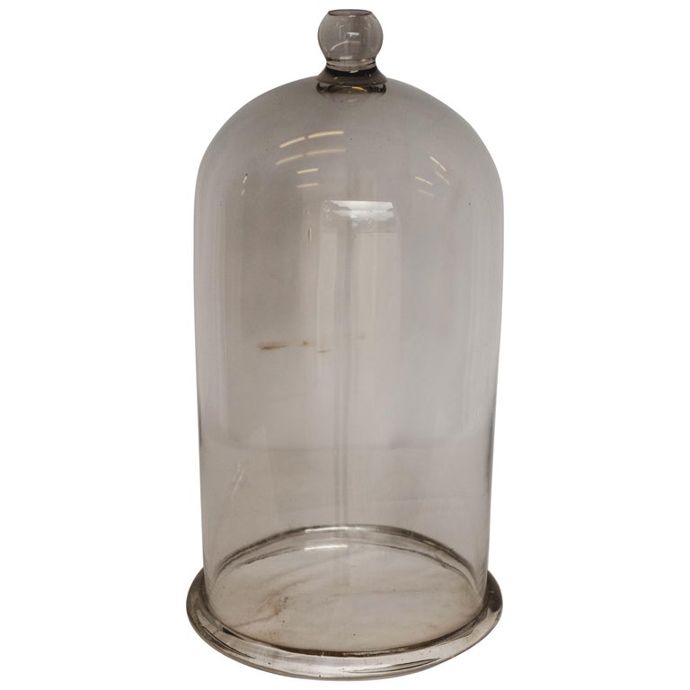 19th Century Glass Garden Cloche at 1stDibs