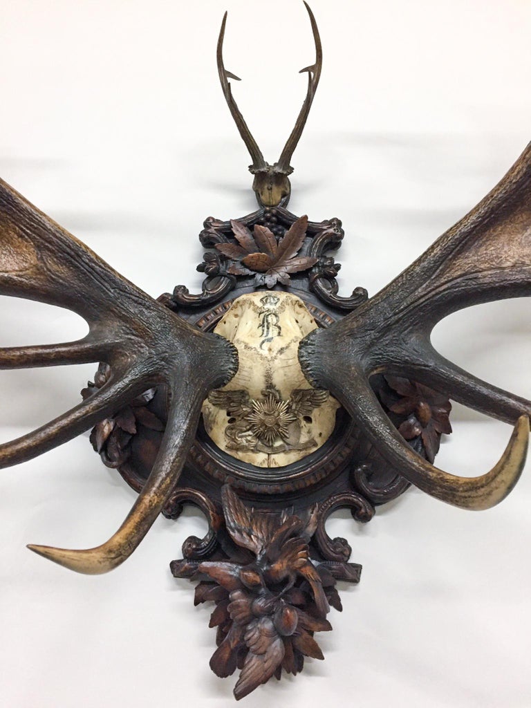 Grand Dukes of Baden Red Stag Trophy on Hand Carved Black Forest Plaque ...