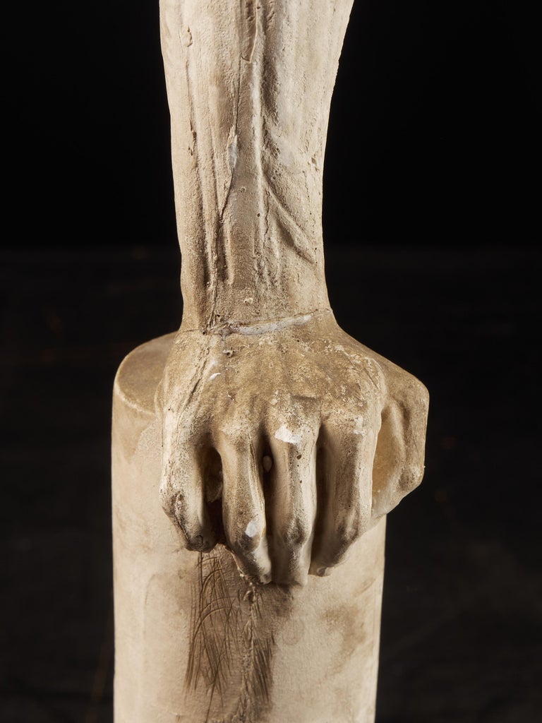 19th Century, Italian School, Two Anatomical Flayed Figures in Plaster ...