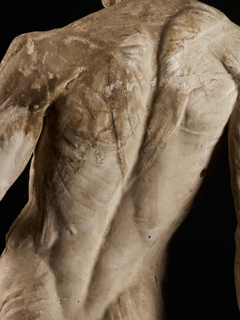 19th Century, Italian School, Two Anatomical Flayed Figures in Plaster ...
