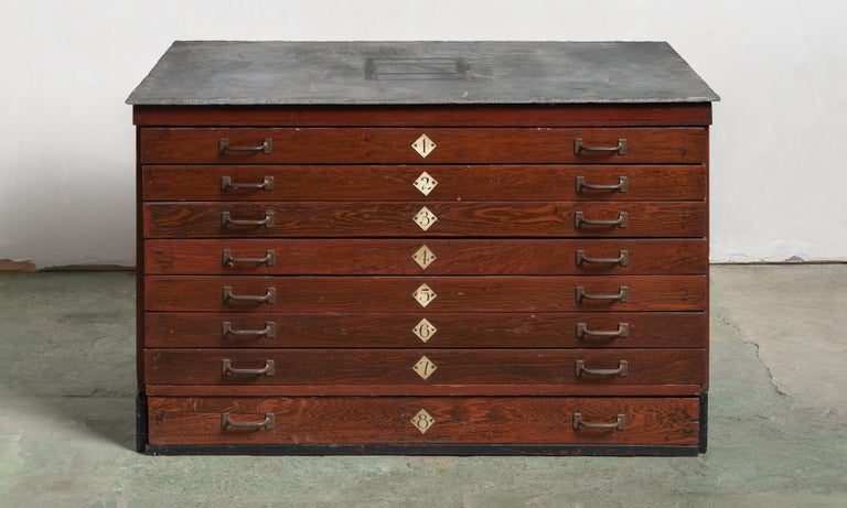 19th Century American Specimen Case For Sale at 1stDibs