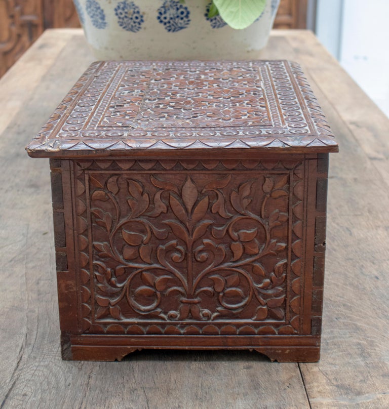 19th Century Anglo-Indian Hand Carved Tropical Wood Box For Sale at 1stDibs