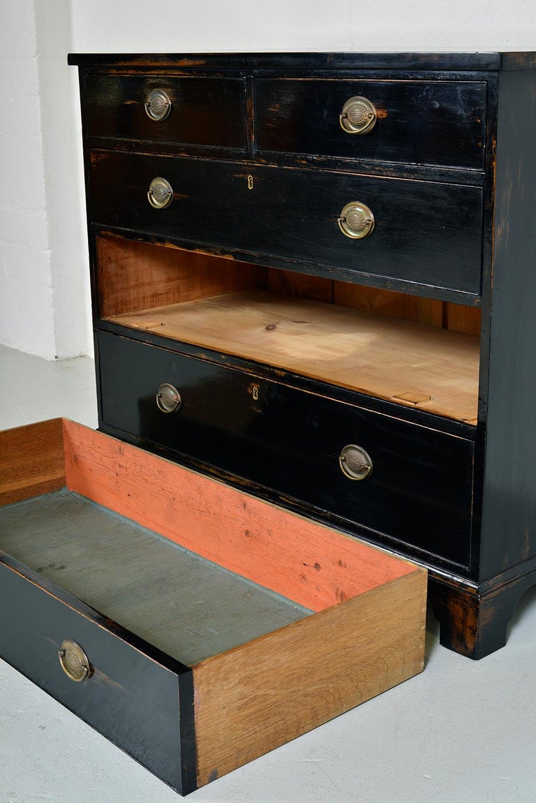 19th Century Antique Aesthetic Black Ebonized Mahogany and Oak Chest of ...