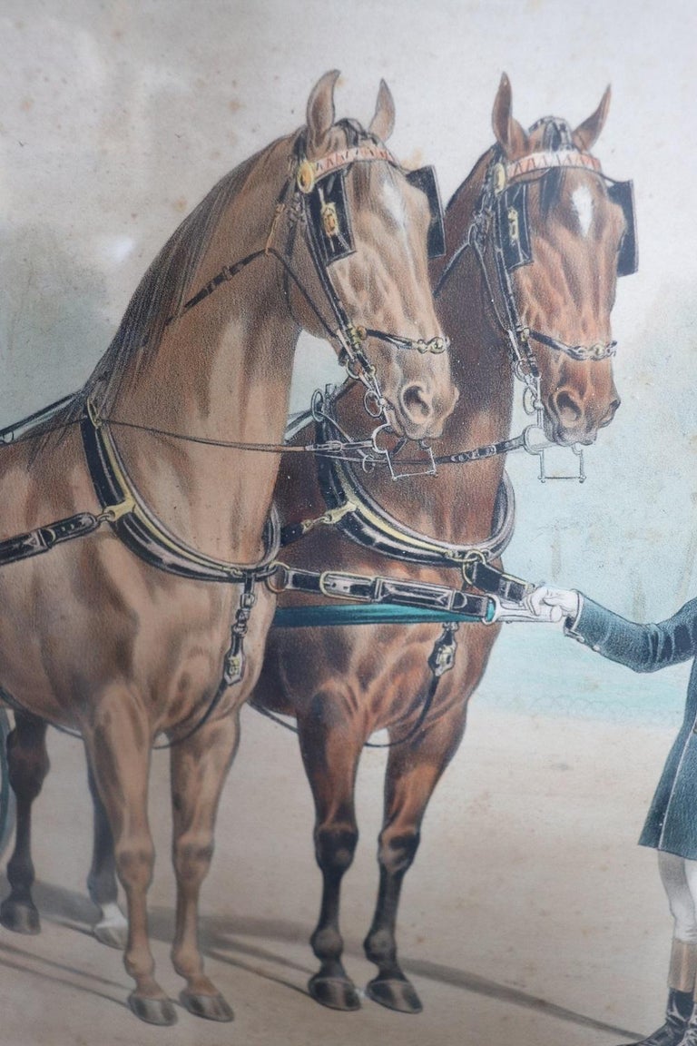 19th Century Antique Color Lithograph Print Signed Albert Adam at 1stDibs