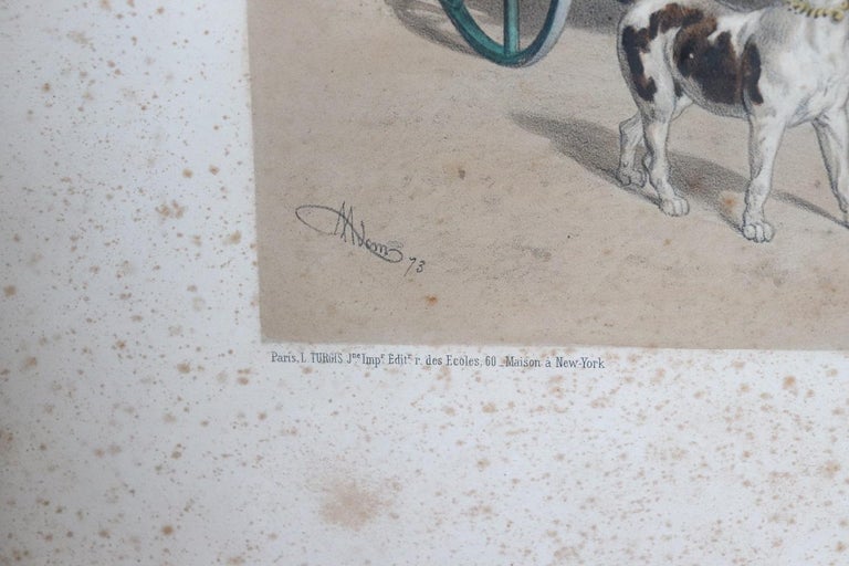 19th Century Antique Color Lithograph Print Signed Albert Adam at 1stDibs