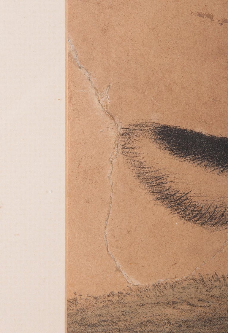 19th Century Antique Engraving of a Hare with Maplewood Frame For Sale ...