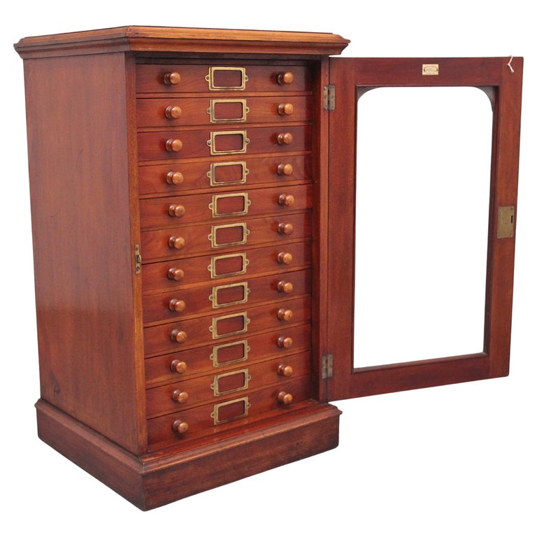 19th Century Antique Mahogany Collectors Cabinet at 1stDibs