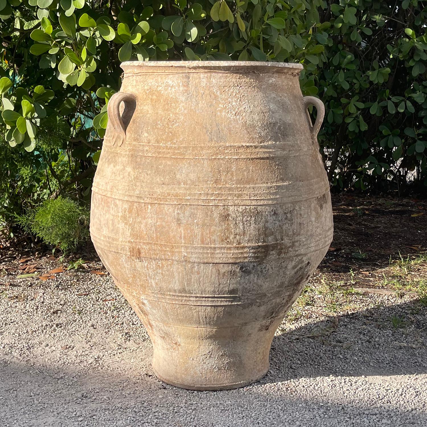 19th Century Antique Mediterranean Terracotta Greek Olive Jar For Sale ...