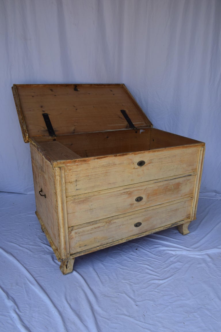 19th Century Antique Painted Flat Top Trunk For Sale at 1stDibs