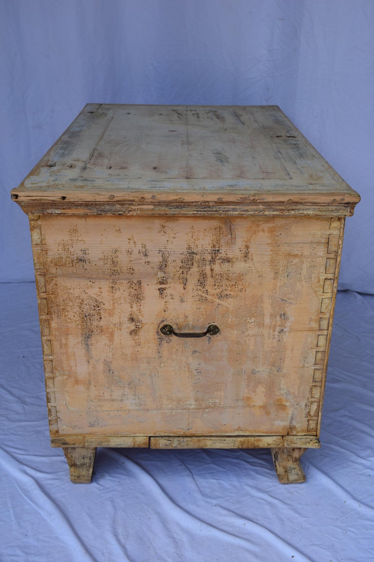 19th Century Antique Painted Flat Top Trunk For Sale at 1stDibs